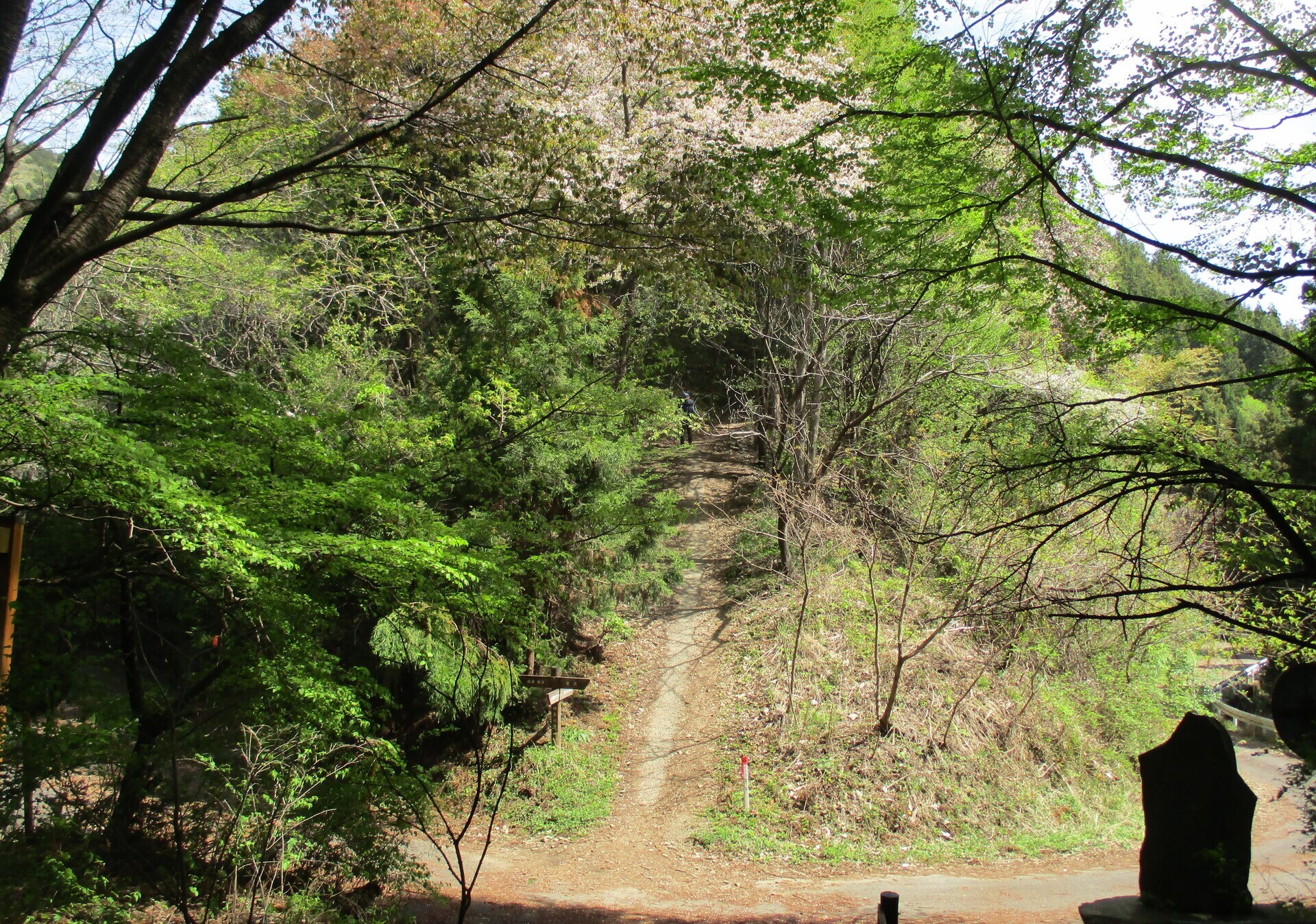 訓練山行と日本百名山準備山行 3: 遙かな道／ロングトレイル紀行